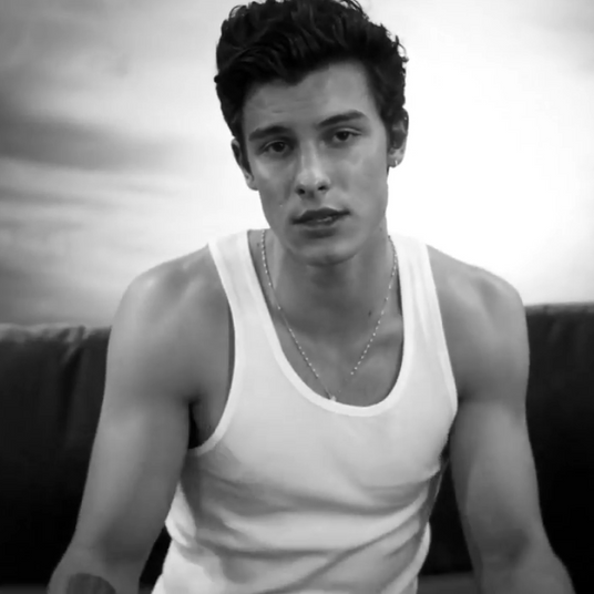 Shawn Mendes – If I Can’t Have You